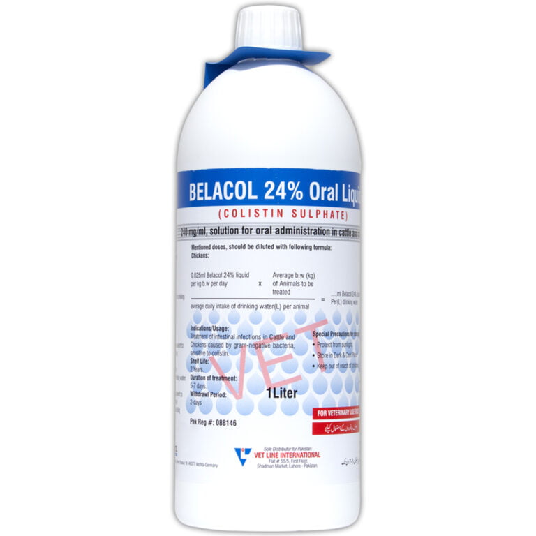 Best Fancy Bird Products In Pakistan | Vetline-International